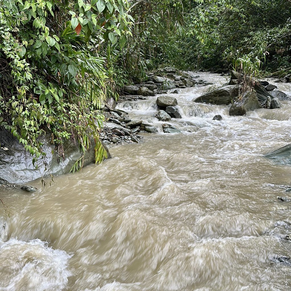 ¡Buenas noticias para Ibagué! Alcaldesa Johana Aranda logra la ...